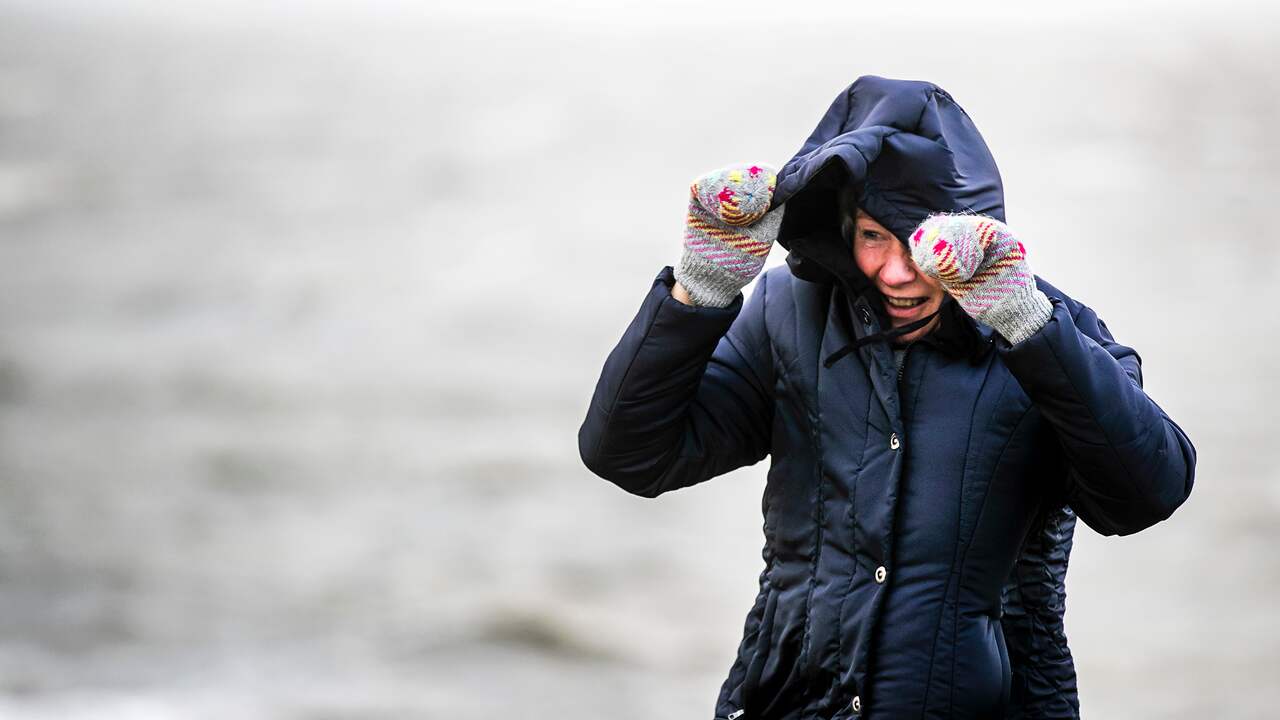Weerbericht | Code geel in kustprovincies vanwege regen en windstoten | Weerbericht | NU.nl