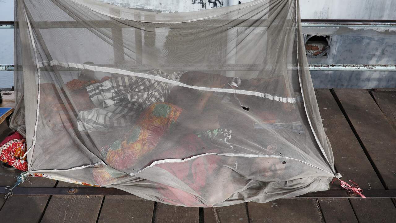 Rode Kruis waarschuwt toerist voor groot risico op dengue in Zuidoost ...