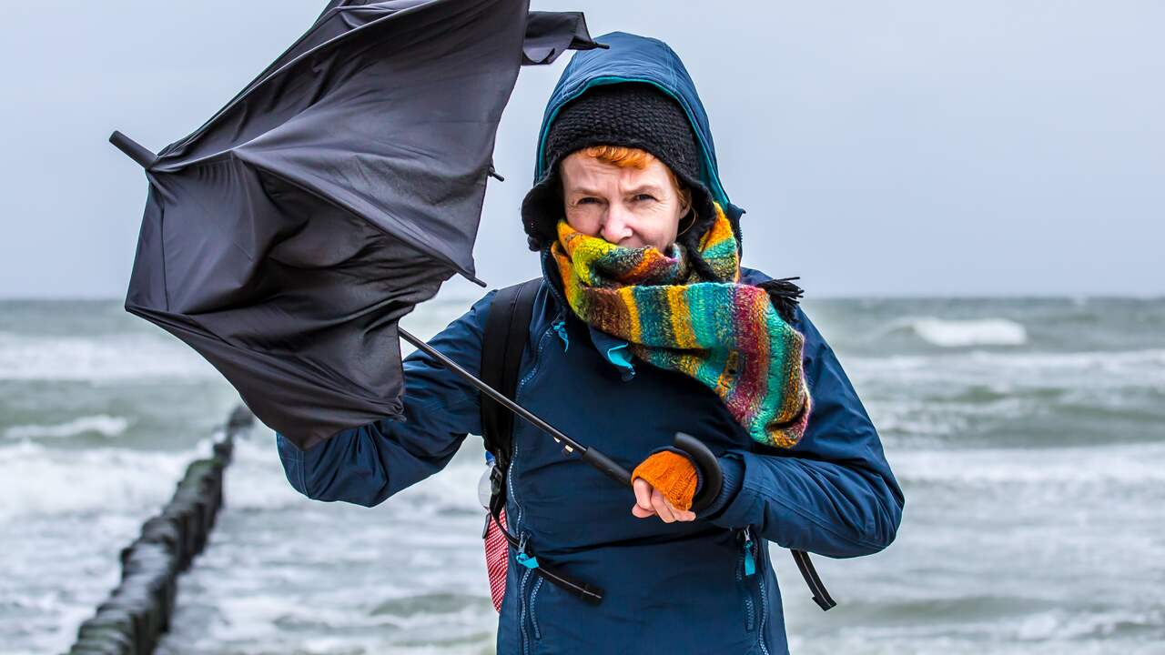Weerbericht | Matige wind en een beetje regen | Weerbericht | NU.nl