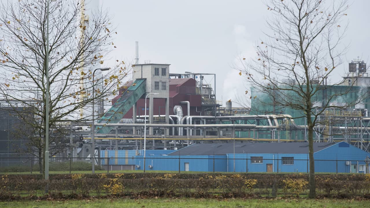 Meer bedrijven op industrieterrein Chemelot moeten vrezen voor ...