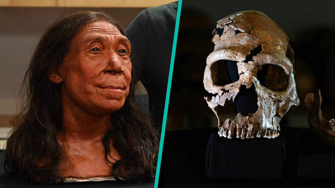 Vrouwelijke Neanderthaler die 75.000 jaar geleden leefde krijgt ...