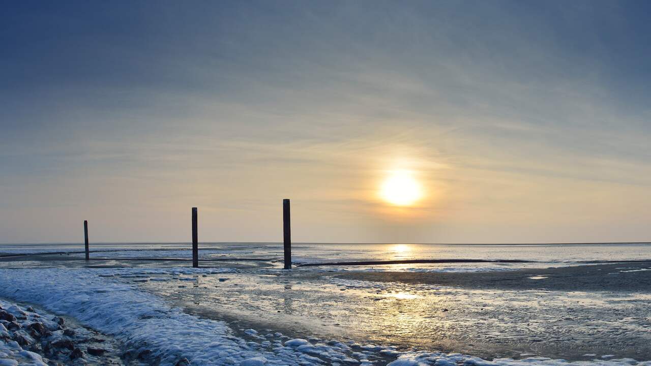 Wadlopen in de winter: 'Van mij mag het nog een paar graden kouder ...
