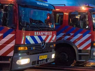 Wilp | NU - Het laatste nieuws het eerst op NU.nl