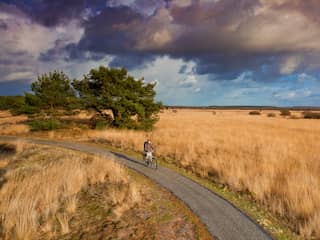 Natuur | NU - Het laatste nieuws het eerst op NU.nl