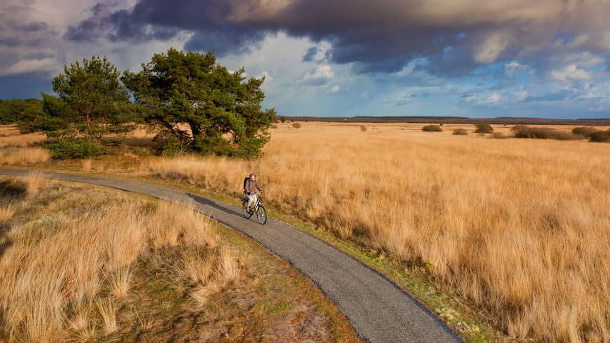 Voor zoveelste keer blijkt dat Nederland te weinig doet om natuur te ...