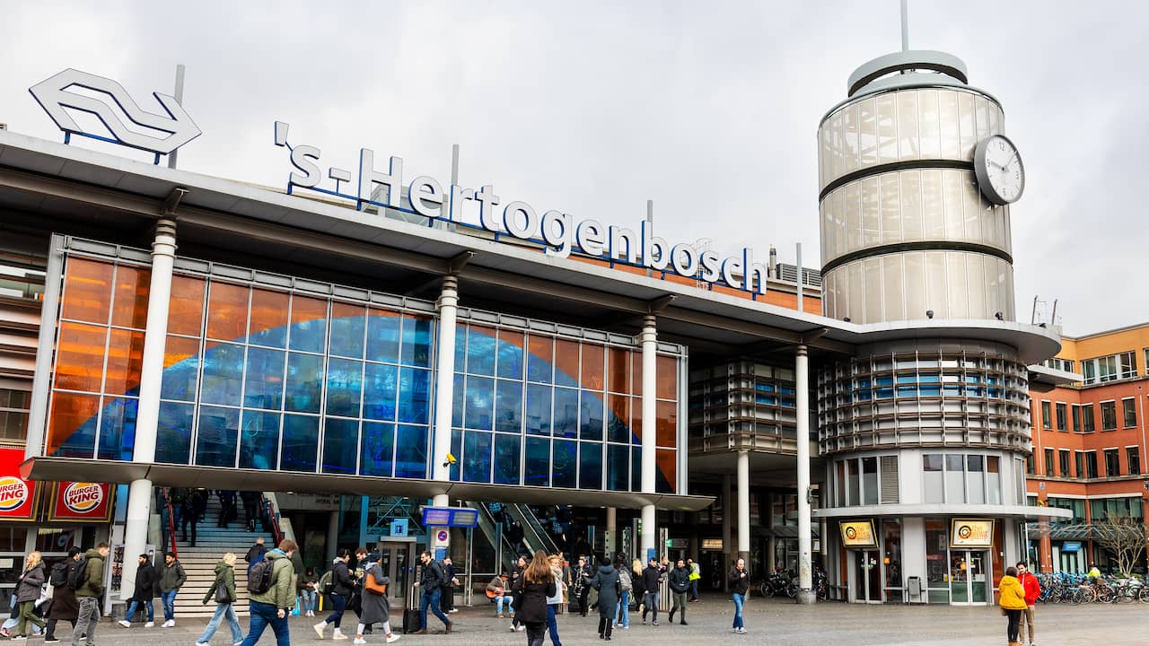 Komende dagen geen treinen tussen Den Bosch en Tilburg door boom op het ...