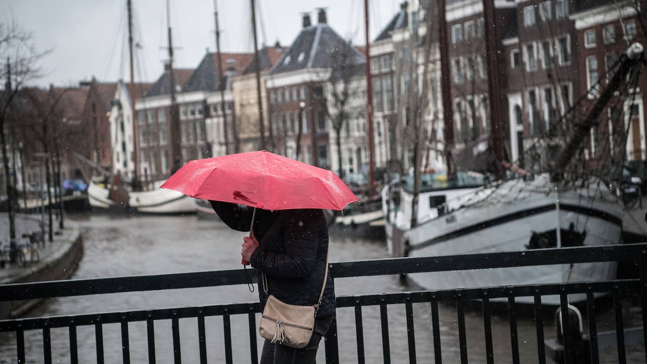 Weerbericht | Code geel in groot deel van het land vanwege zware buien | Weerbericht | NU.nl