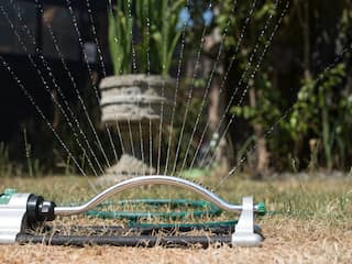 water | NU - Het laatste nieuws het eerst op NU.nl