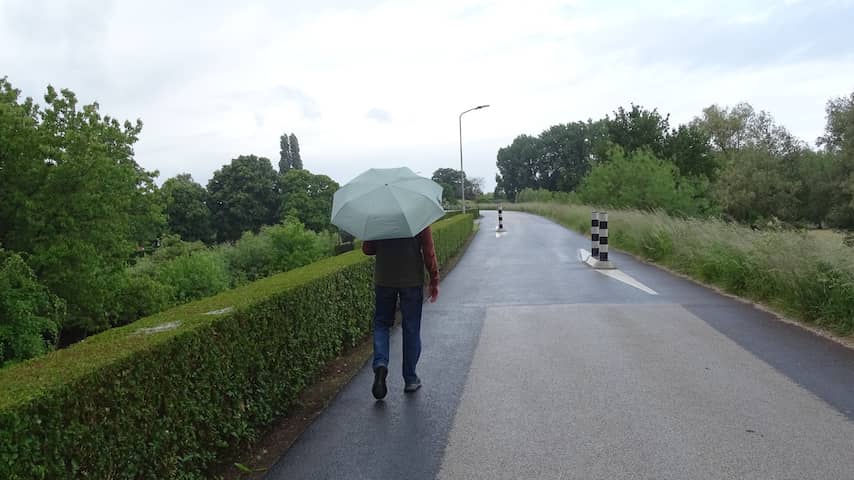 Na extreme droogte gaat het weer regenen: 'Heel erg welkom voor de natuur' | Binnenland | NU.nl