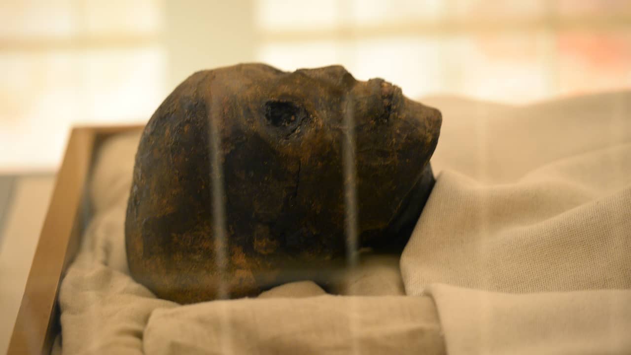 'Hoofd' Toetanchamon voor 5,3 miljoen euro geveild | Opmerkelijk | NU.nl