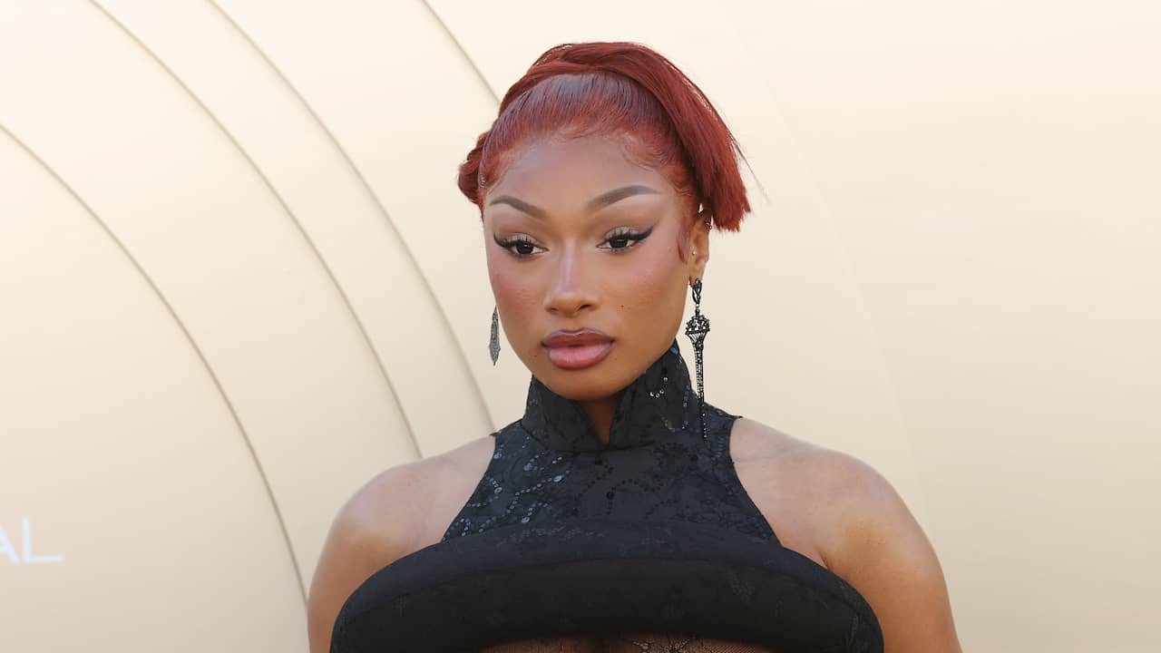 Rapper Megan Thee Stallion wint rechtszaak tegen 'pestende' YouTuber ...