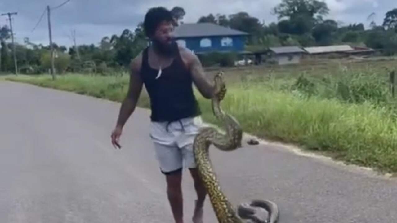 Kickbokser sleurt meterslange anaconda van weg af | NU.nl