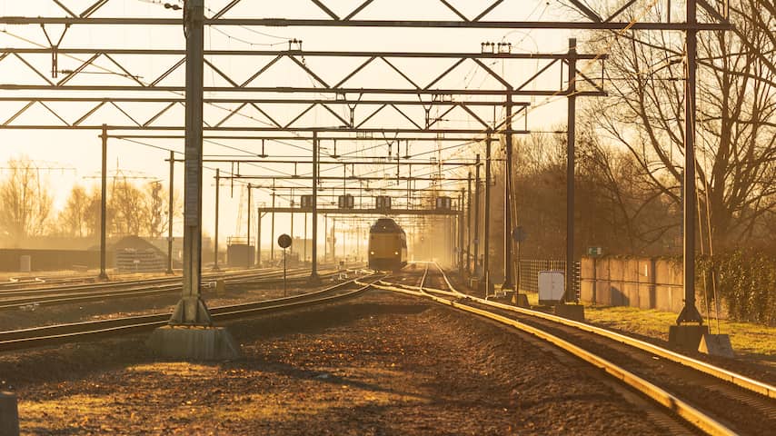 Blauw-gele trein naar Duitsland: NS wil zes ritten per dag van en naar ...