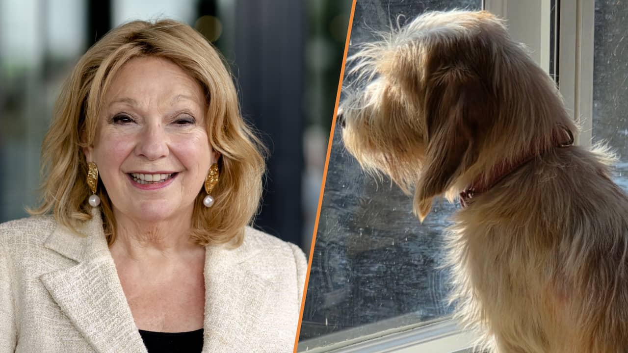 Janny van der Heijden adopteert hond na overlijden Nhaan: 'Meteen ...