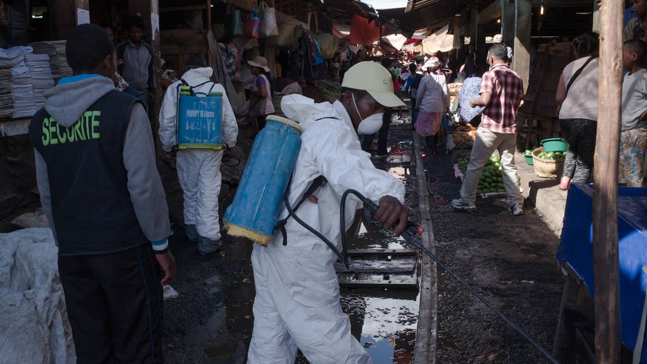 Longpest-epidemie in Madagaskar voorbij na 202 sterfgevallen | Algemeen ...