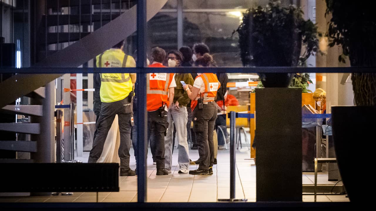 Live hantavirus | GGD: 'Controle thuisquarantaine passagiers is niet ...