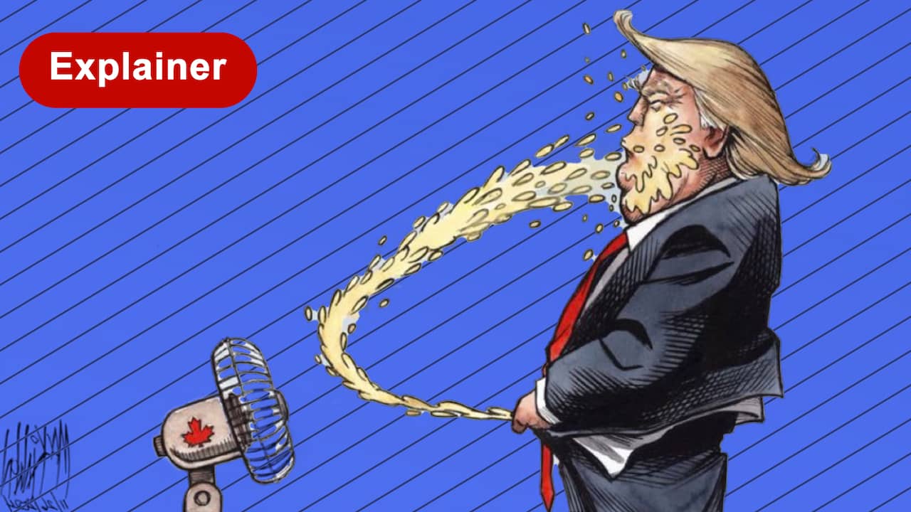 EU eens over heffingen op Amerikaanse producten na 'schadelijke acties' Trump | Economie | NU.nl