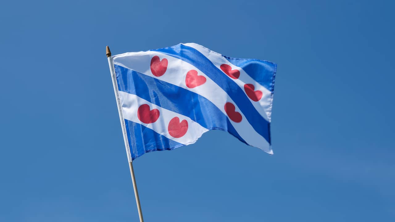 Alle kinderen in Friesland moeten vanaf volgend schooljaar Fries leren ...