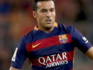 pedro | NU - Het laatste nieuws het eerst op NU.nl