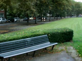 Michiel Romeyn | NU - Het laatste nieuws het eerst op NU.nl
