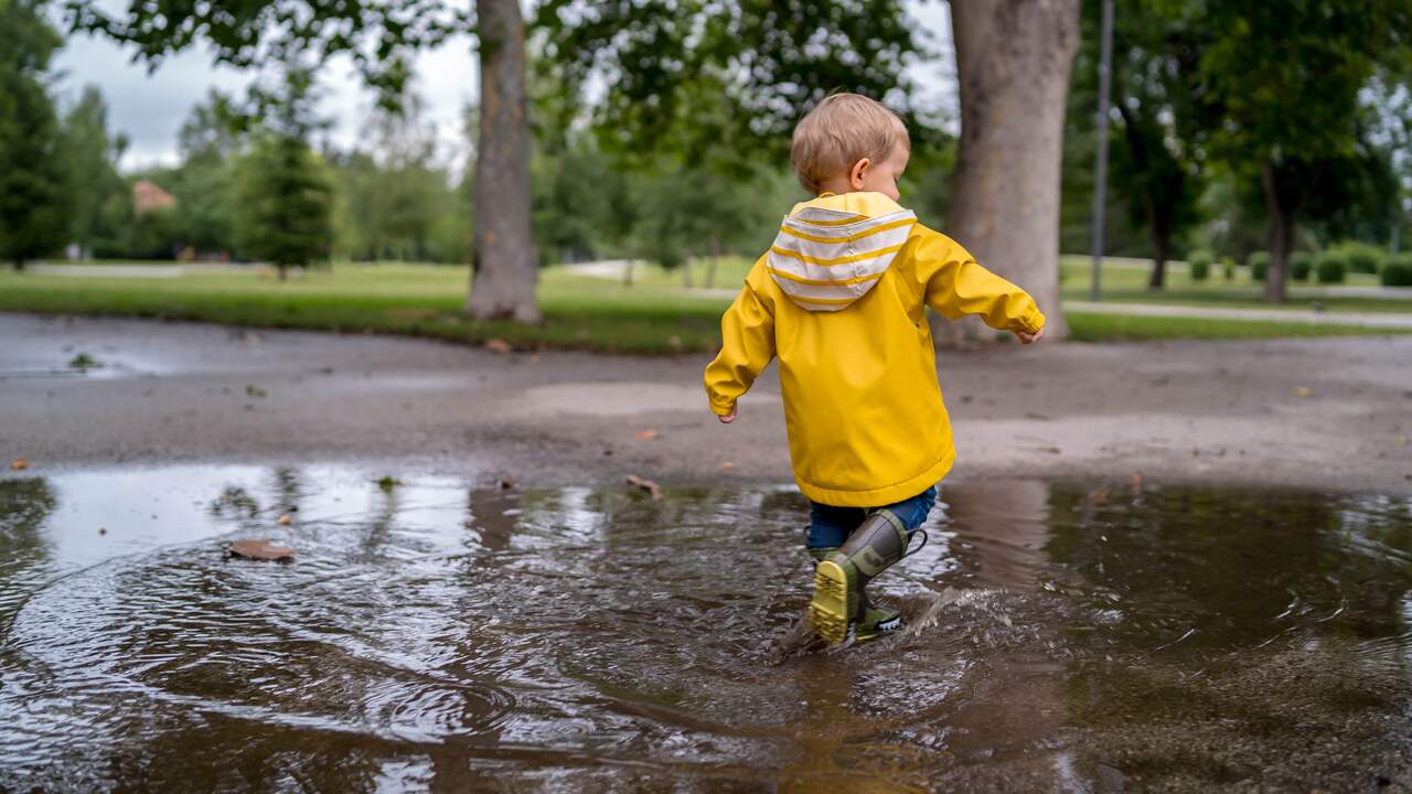 Weerbericht | Zuiden blijft regenachtig, in het noorden wat ruimte voor zon | Weerbericht | NU.nl