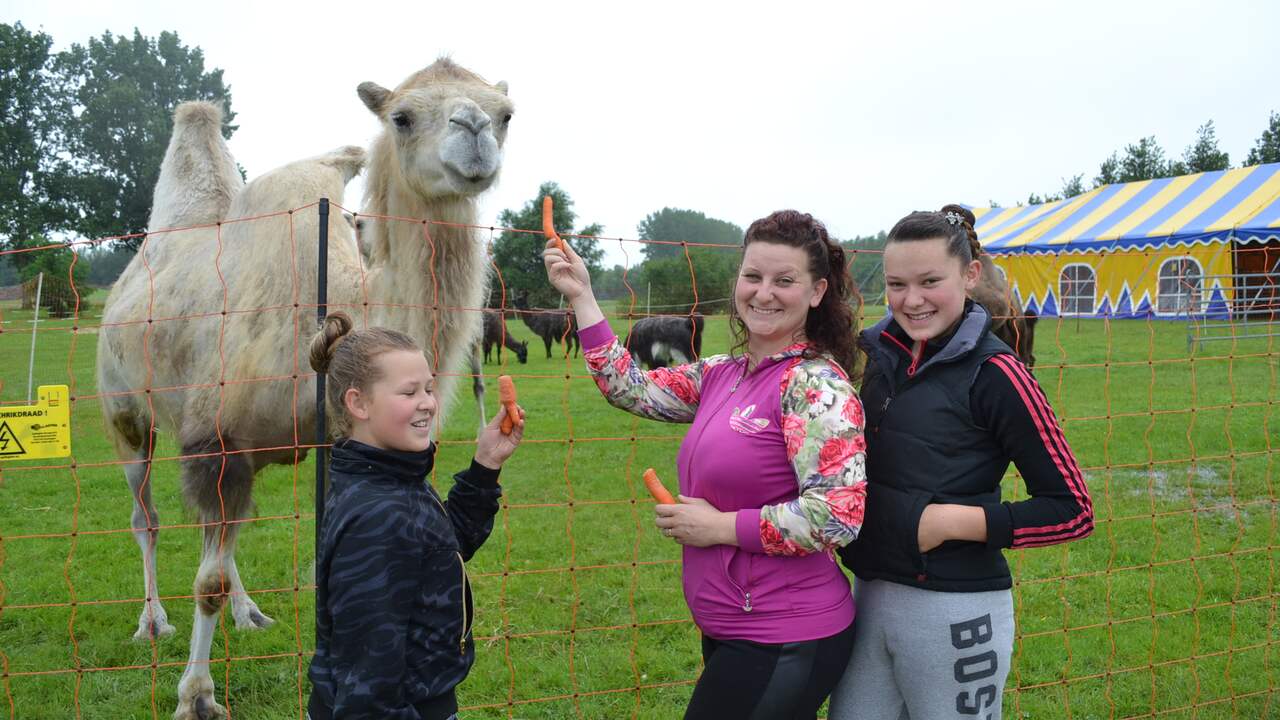 Circus Freiwald brengt traditionele circusshow | Brabantse Wal | NU.nl