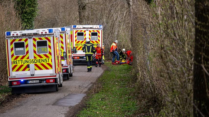 Drie doden door omvallende boom in Duits bos bij paaseieren zoeken ...