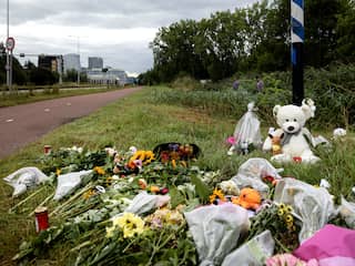 Het is na drie maanden nog niet duidelijk wie de verdachte van moord op Lisa is | Binnenland | NU.nl