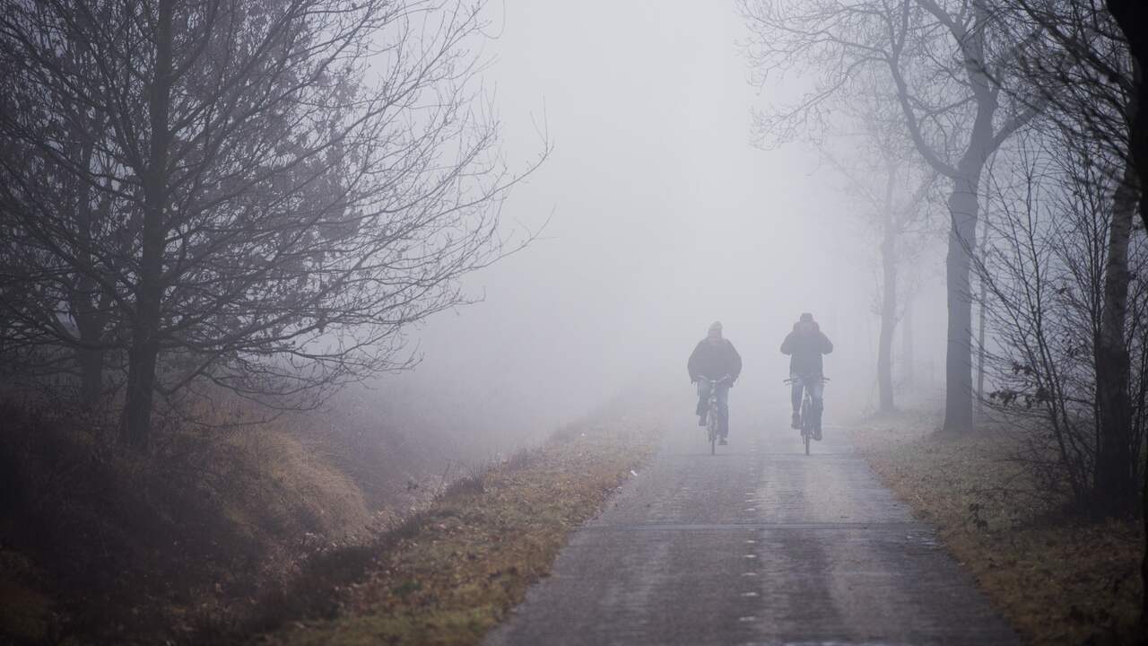Weerbericht | Code geel in de ochtend door mistbanken, daarna schijnt de zon | Weerbericht | NU.nl