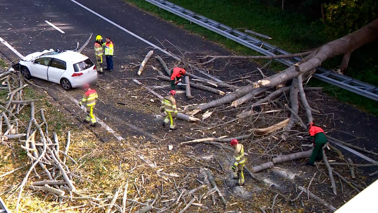Lees hier terug wat storm Ciarán aanrichtte in Nederland - NU.nl