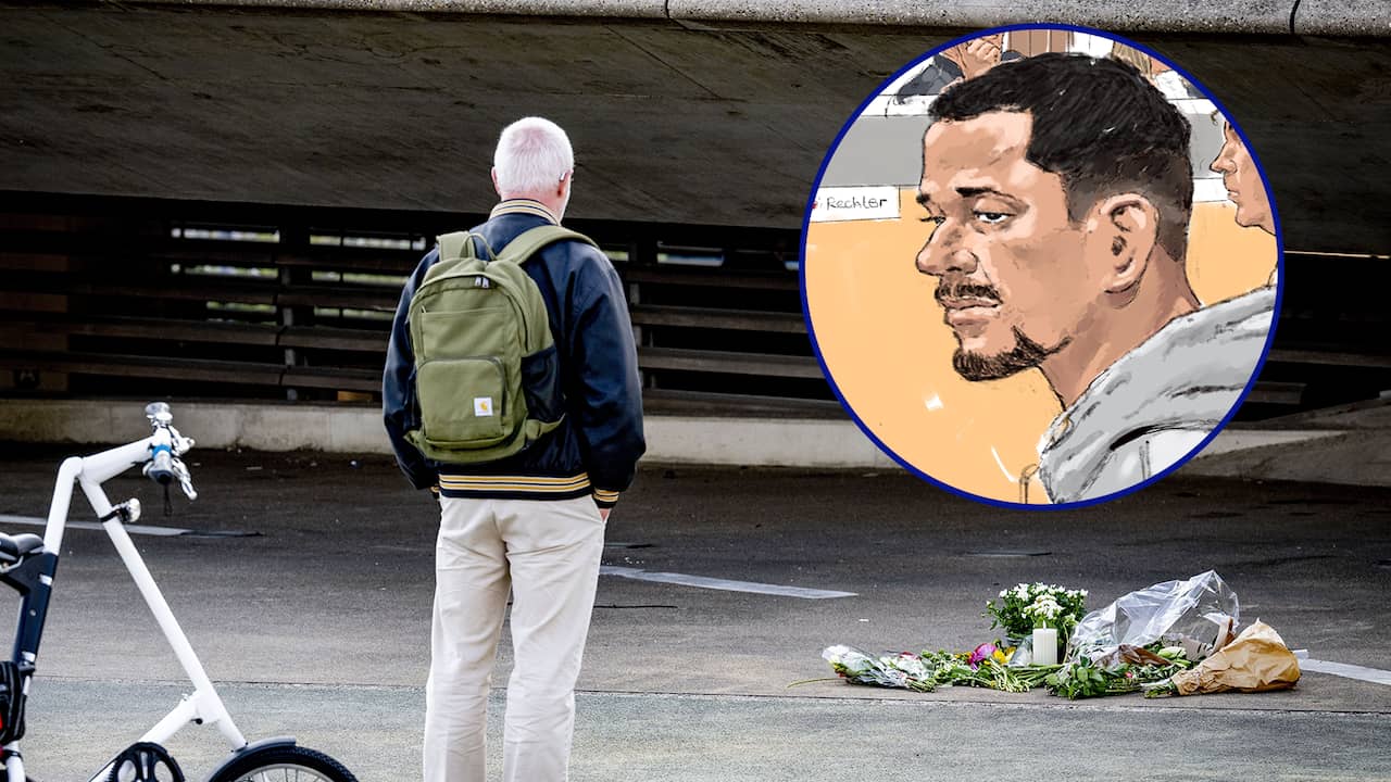 Man die dodelijk instak op mensen bij Erasmusbrug krijgt geen cel ...