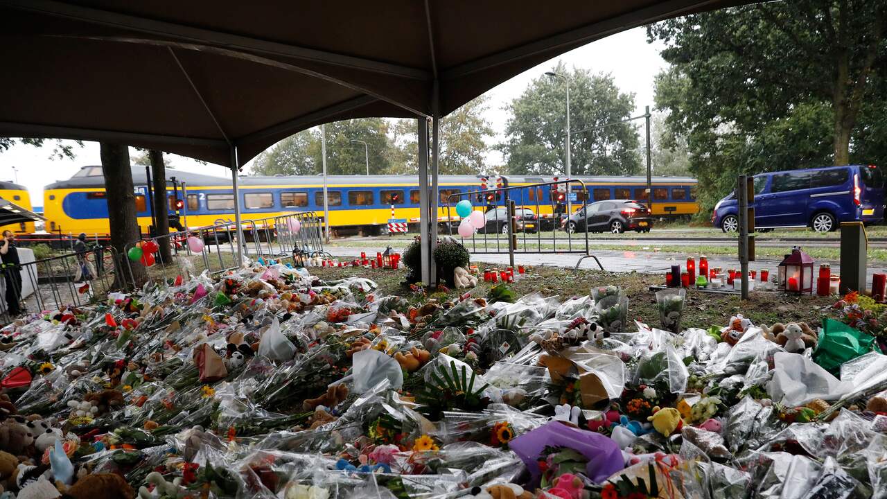 Oss krijgt monument na dodelijk ongeluk met Stint | Binnenland | NU.nl