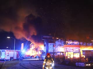 Zeewolde | NU - Het laatste nieuws het eerst op NU.nl